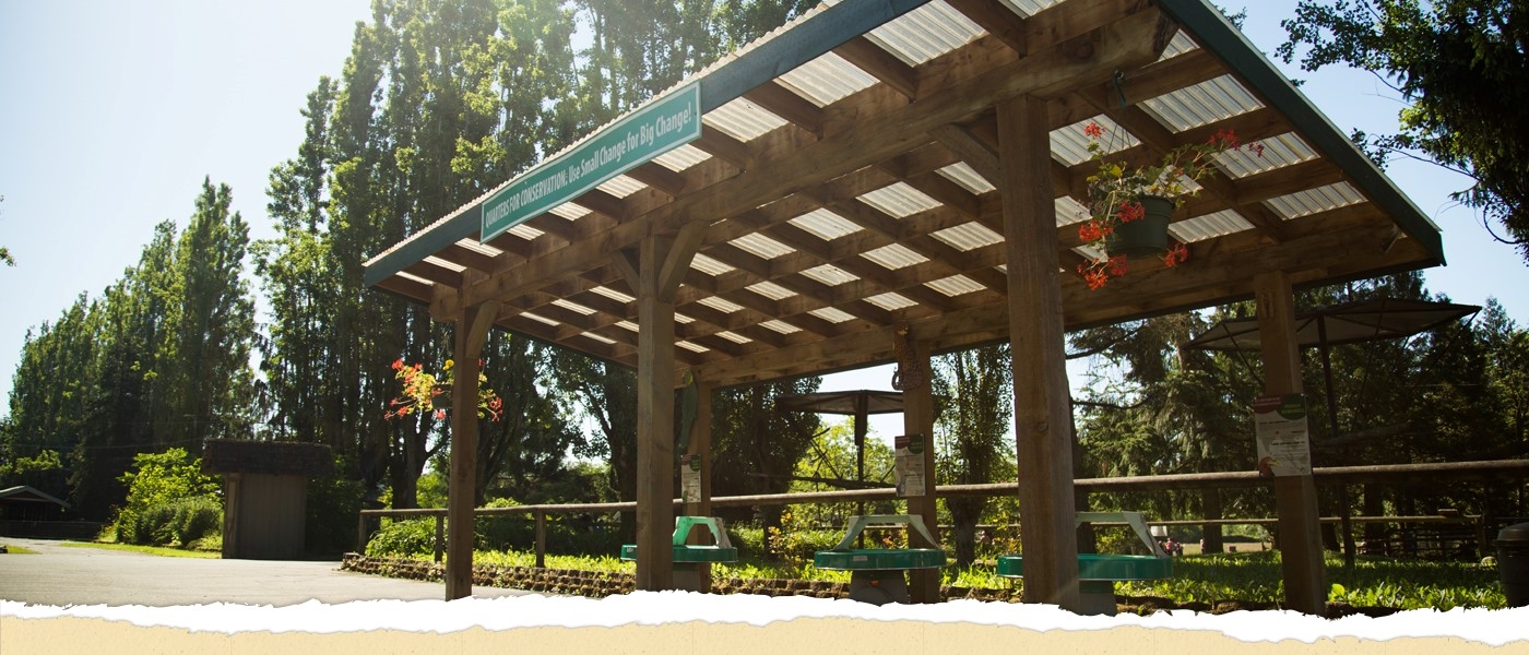 Saving Endangered Species one Quarter at a Time