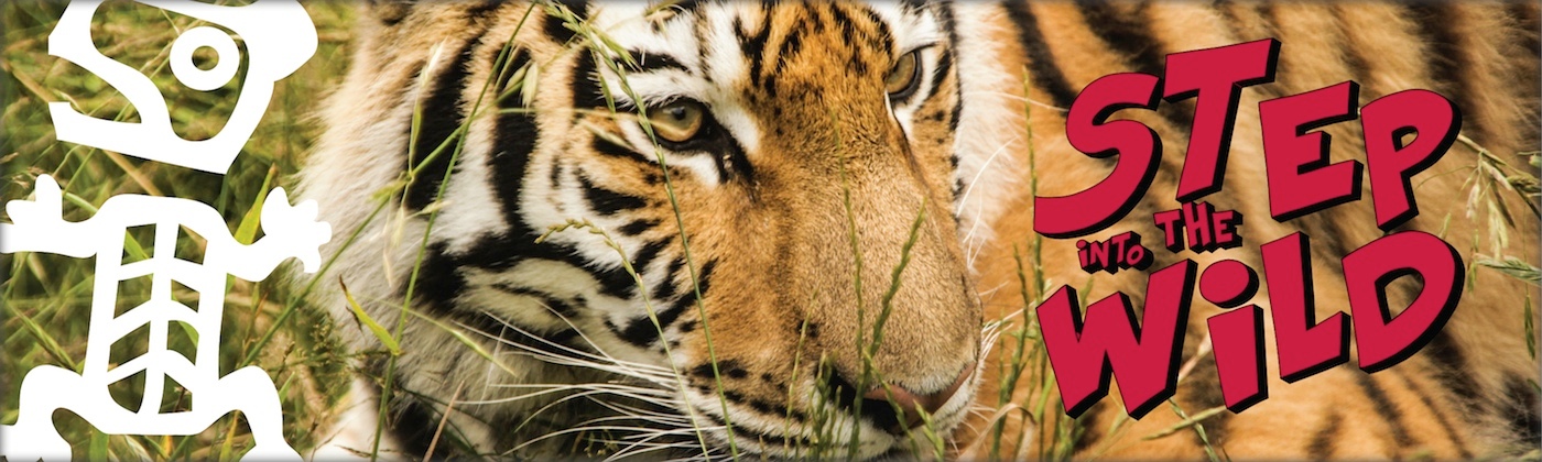 Greater Vancouver Zoo | Home & Blog